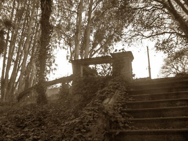 54. Rispin Mansion – KMMA Media